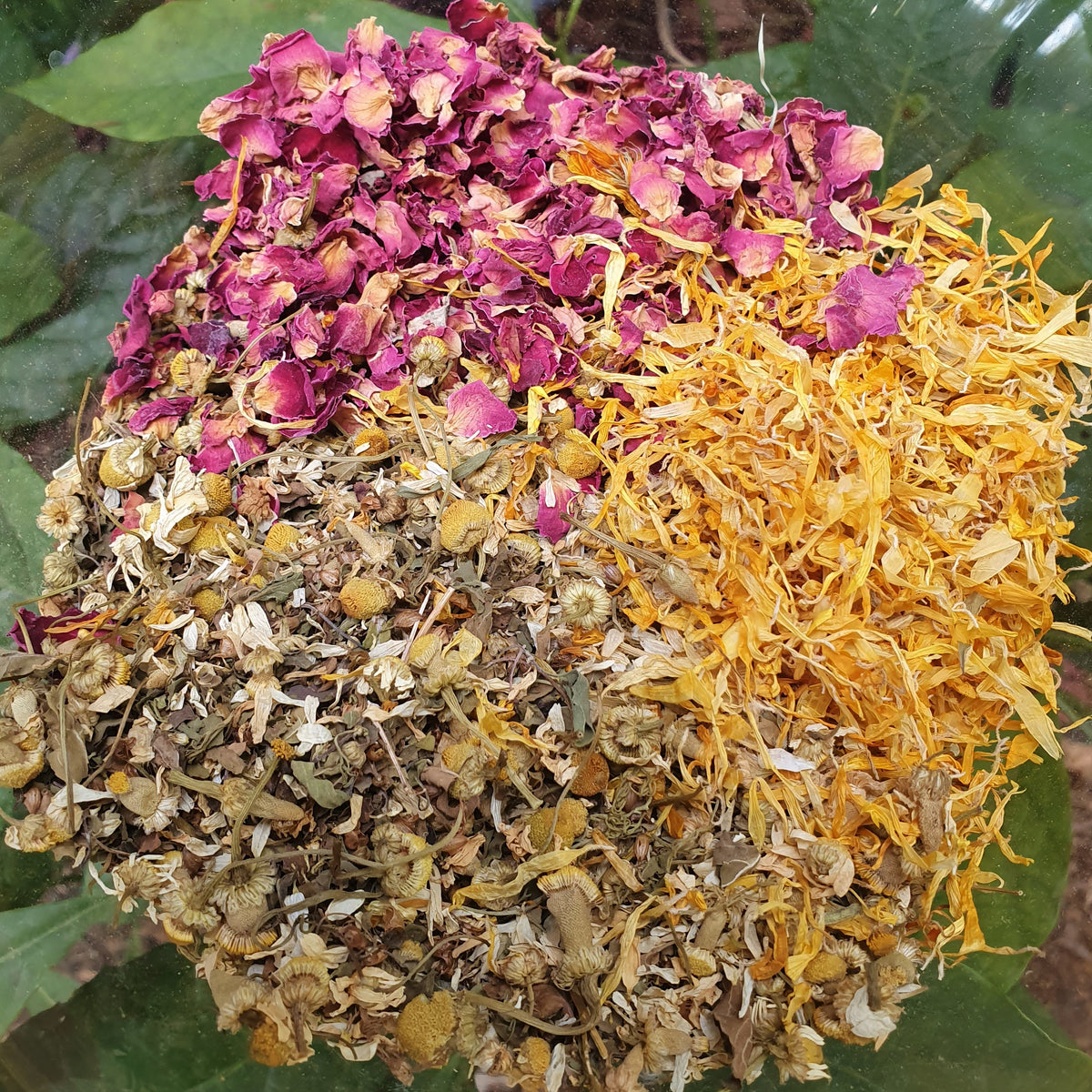 Herbs – Mother Forager