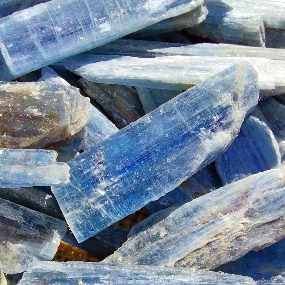 Kyanite - rough – Mother Forager