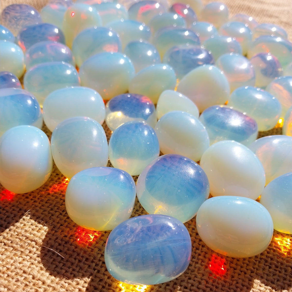 Opalite – Mother Forager