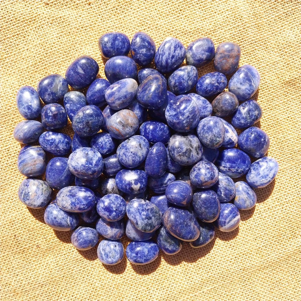 Sodalite – Mother Forager