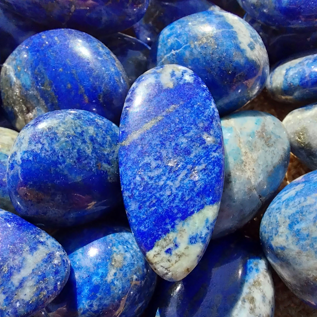 Lapis Lazuli – Mother Forager