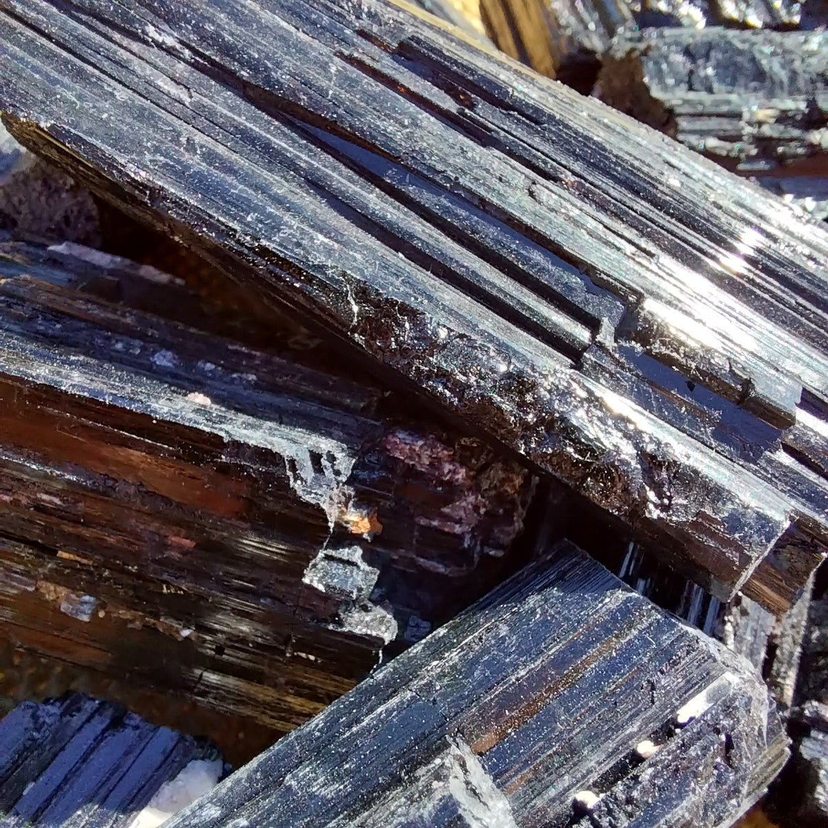 Black Tourmaline – Mother Forager