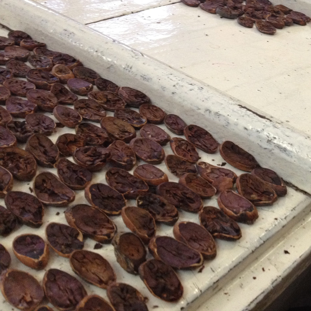 Cacao Nibs - criollo – Mother Forager