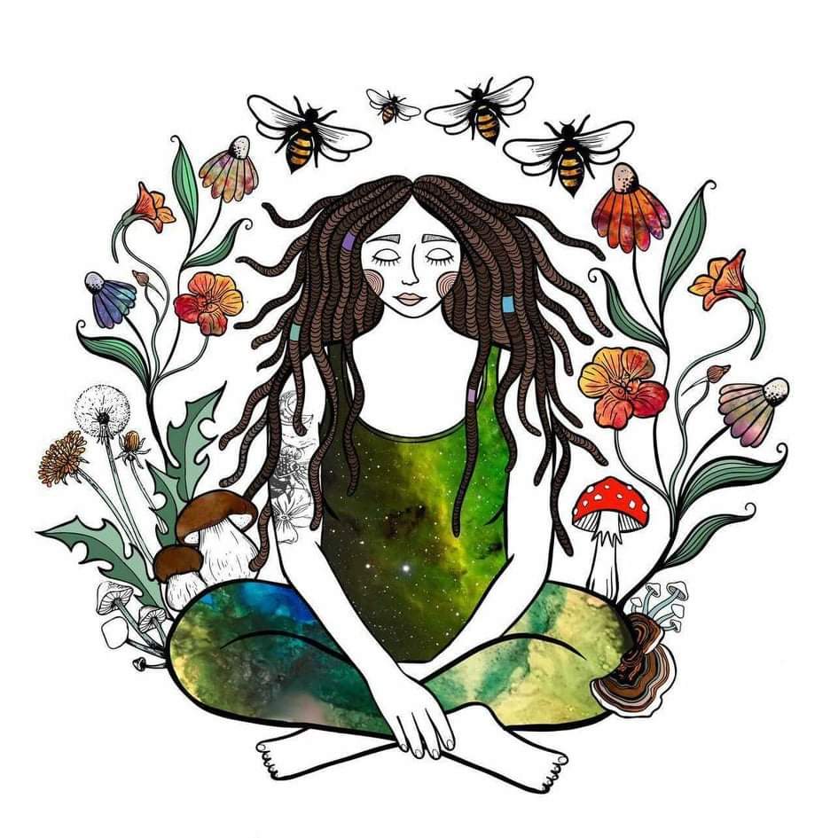 Mother Forager - variety of ceremonial cacao origins