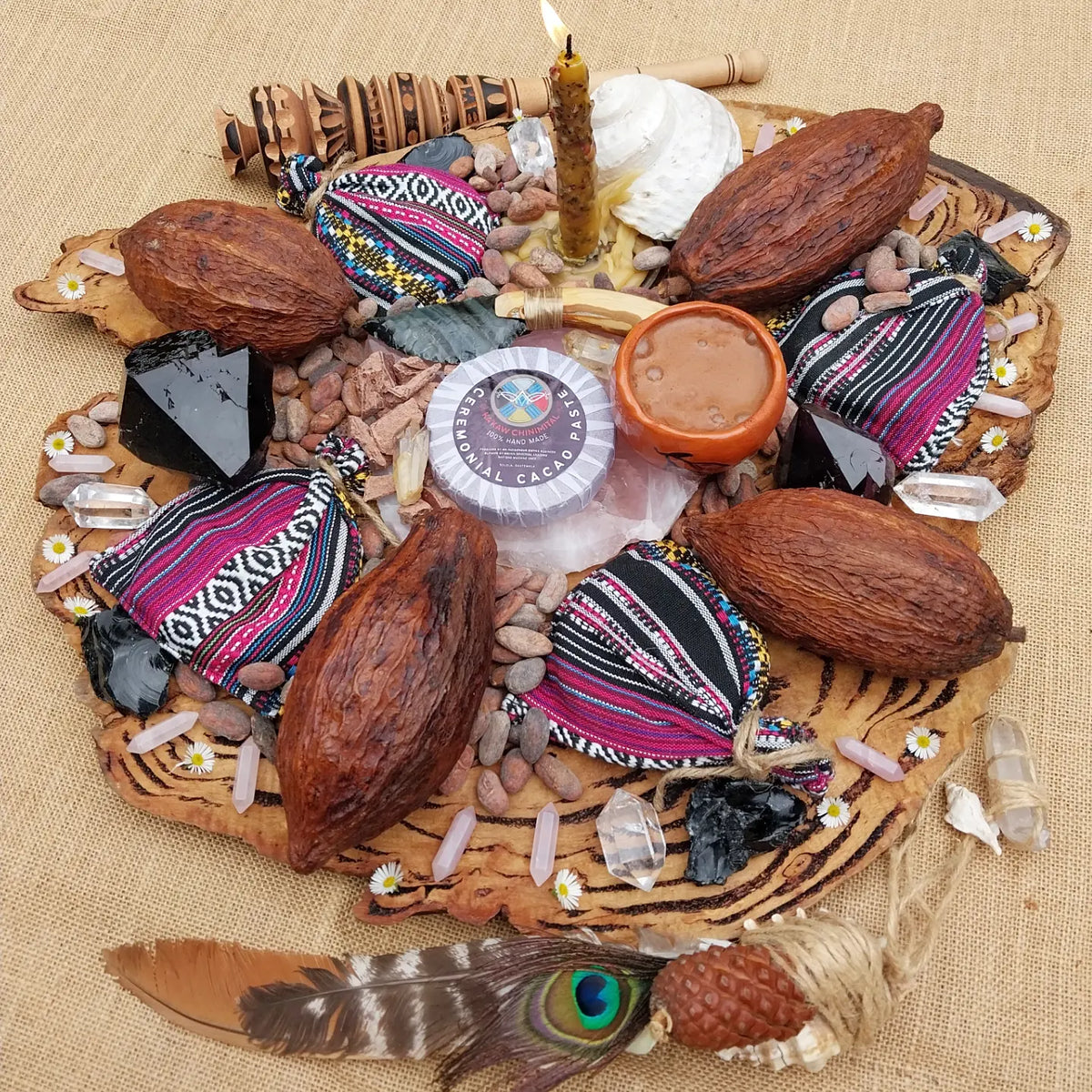 Cacao Pod dried – Mother Forager