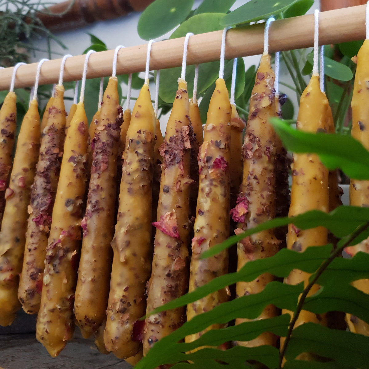 Cacao + Rose Ritual Beeswax Candles – Mother Forager