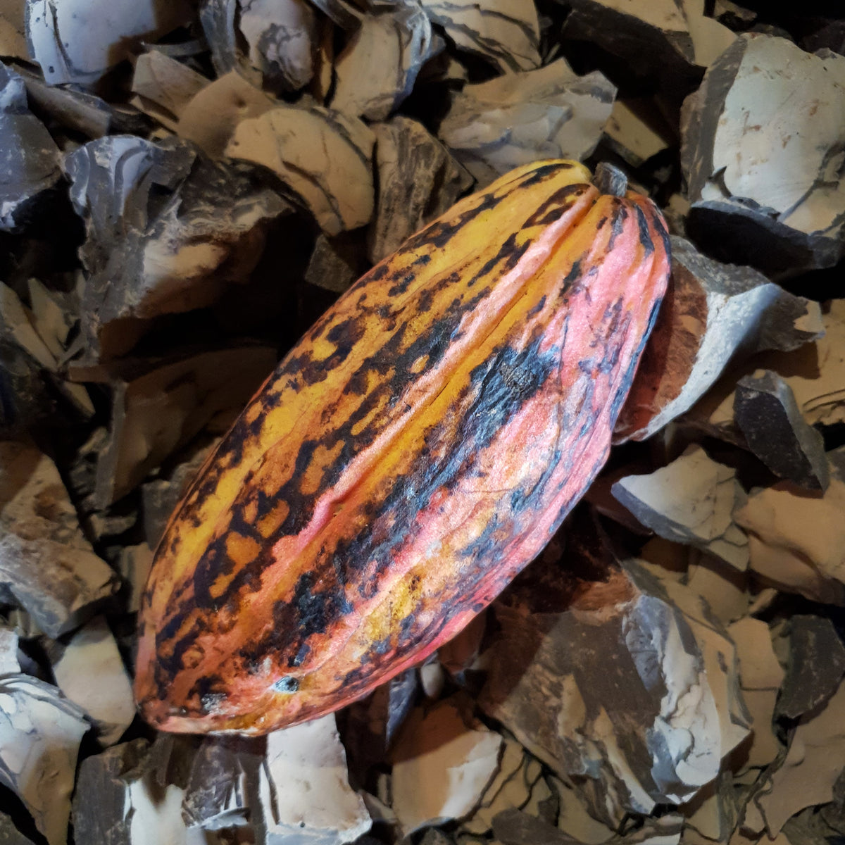 Ceremonial Cacao Peruvian – Mother Forager